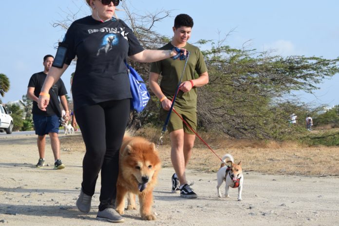 WALK FOR PAWS - Focus