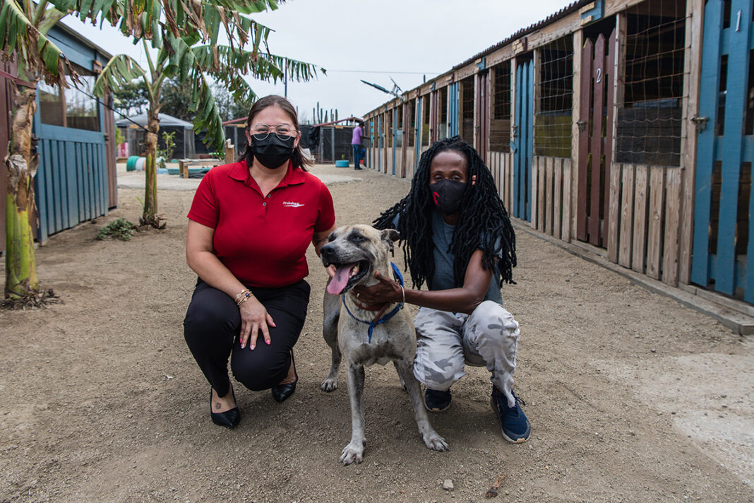 ARUBA BANK TA YUDA LUNA FOUNDATION ARUBA SALBA BIDA DI CACHONAN DI CAYA ...